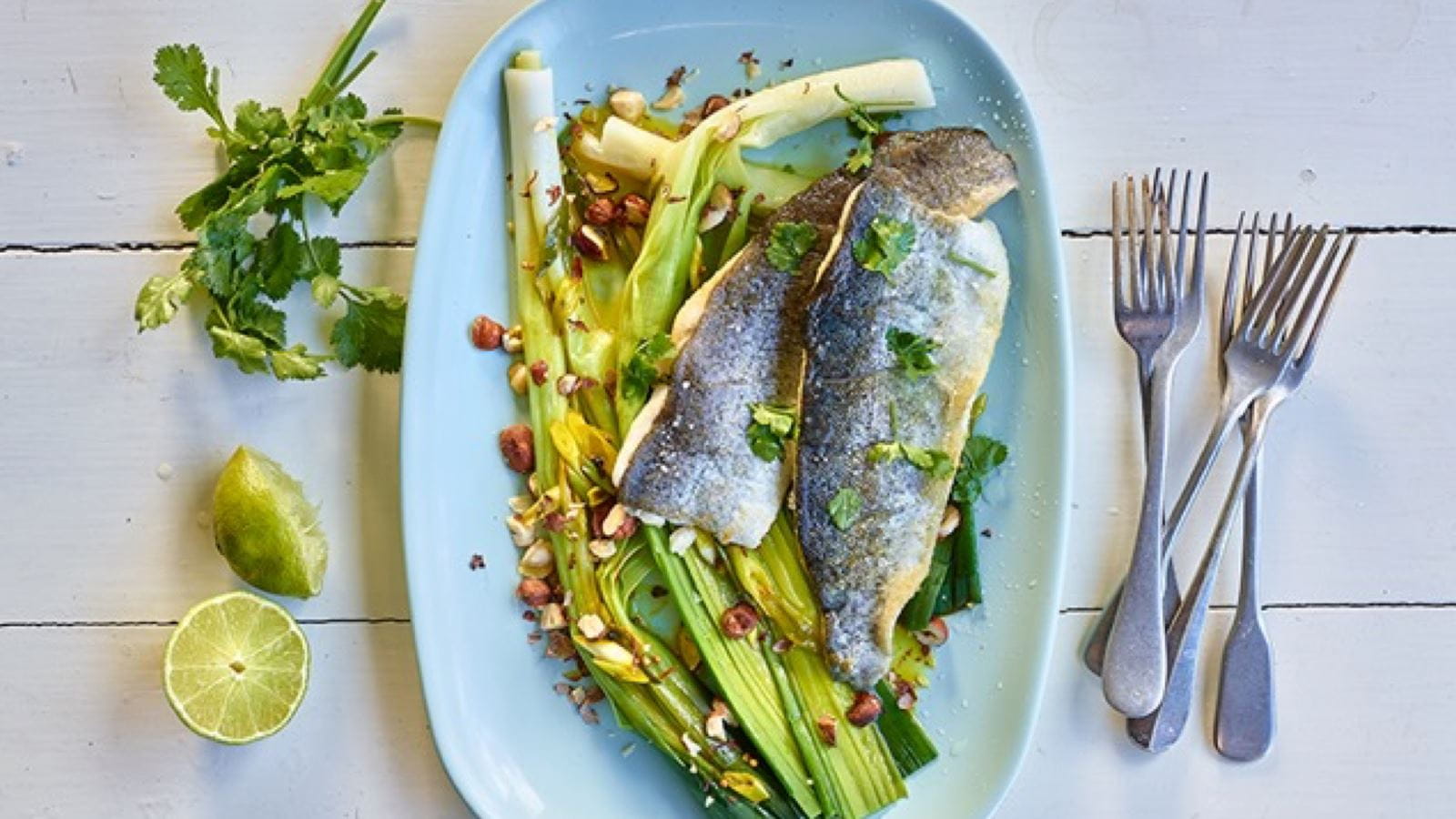 Cuisiner le poisson : facile avec nos recettes | Plantafin
